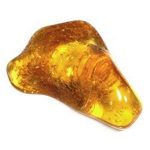 Facts About Amber: Meanings, Properties, and Benefits